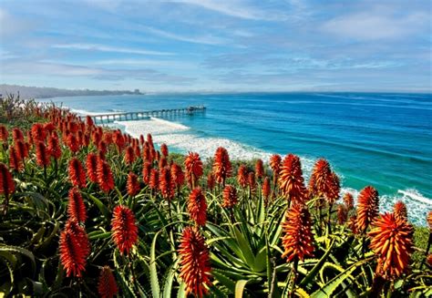Fertility Clinic San Diego Reproductive Partners Fertility Center