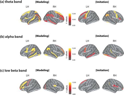 Interbrain Synchrony Of Homologous Areas Statistical Comparisons Of Download Scientific