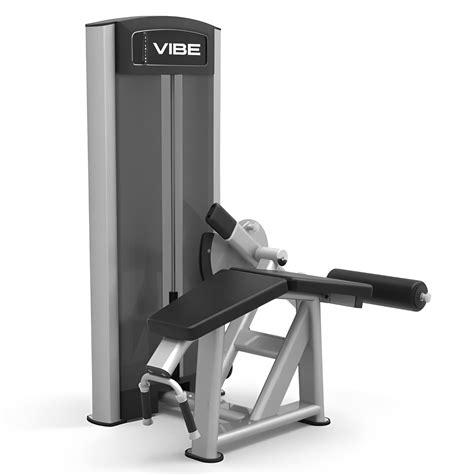 Leg Extension And Leg Curl Vibe