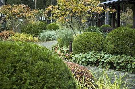 Круги на воде Всеволожск Ленинградская обл Ландшафтное бюро МОХ Jardinage Balcon