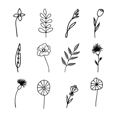 Premium Vector Hand Drawn Herbal Floral Clipart Collection One Line