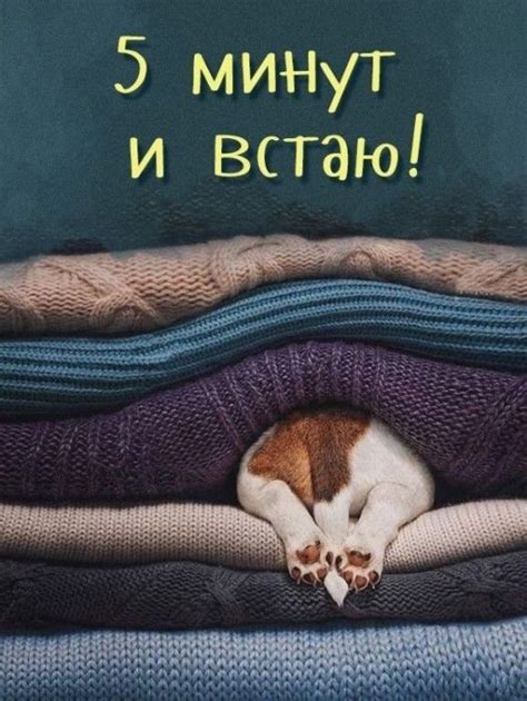 Смешные картинки с добрым утром бесплатно скачать Good Morning Cards Good Morning Photos