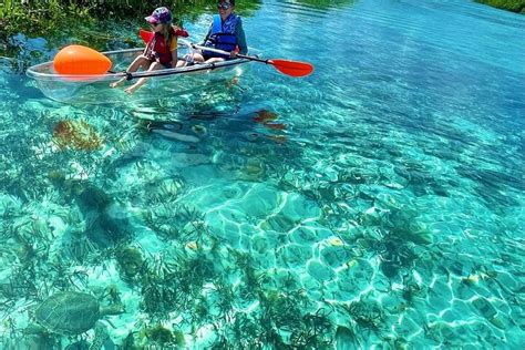 2023 Clear Kayak Mangrove Tour Provided By Turks Aqua Adventures