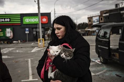 Maksym M On Linkedin Closetheskyoverukraine