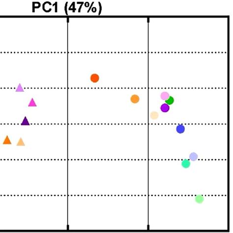 Principal Component Analysis Of The Global Transcriptomic Response For