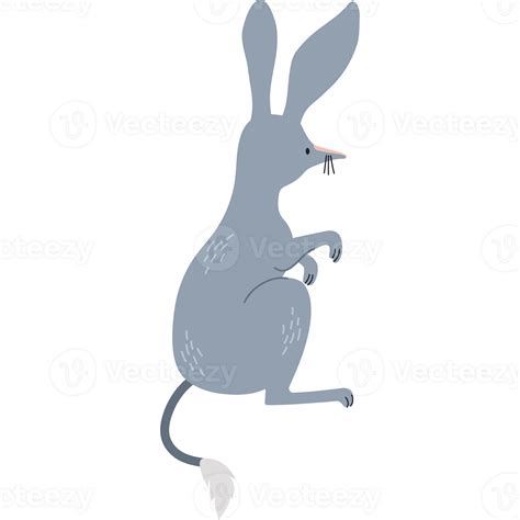 Australian Bilby Animal 35500308 Png