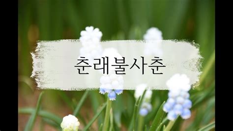 춘래불사춘 포크송 신곡 작사 작곡 달빛향기 노래 비앤비 Youtube