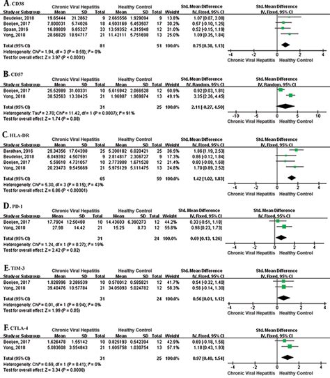 Phenotype Of Peripheral Mait Cells Is Shown Download Scientific Diagram