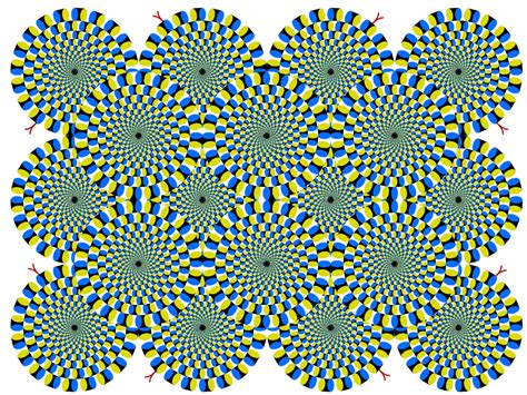 Stroboscopic Motion
