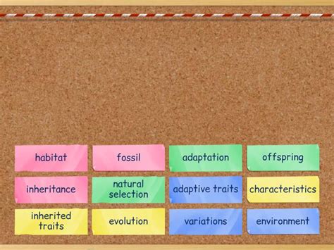 Ks2 Science Review Evolution And Inheritance Find The Match