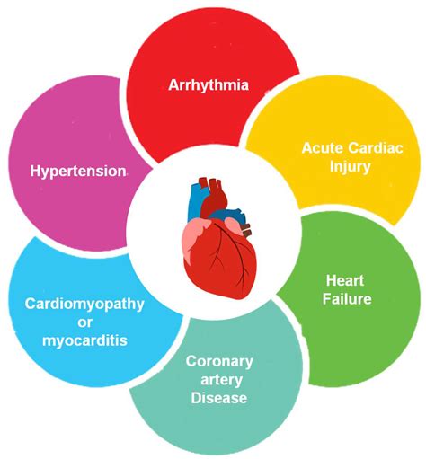 Sustainability Free Full Text Modified Self Adaptive Bayesian Algorithm For Smart Heart