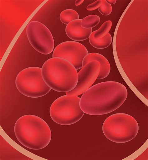 Lactate Threshold And Vo2 Max Hodder Education Magazines