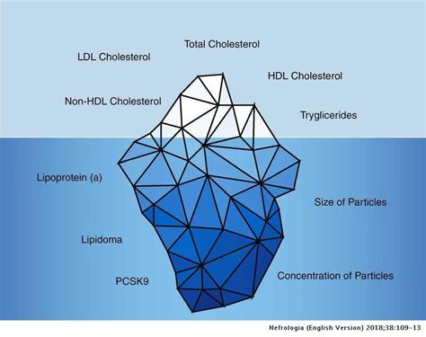 New Imaging Technique Targets Cholesterol In Arterial Plaque Health Lar