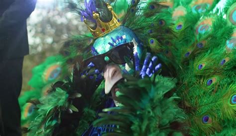 La Máscara Del Pavo Real De Mask Singer