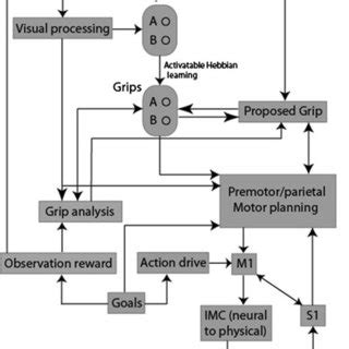 Modular Architecture For Execution Of Grasping Actions Via Download Scientific Diagram