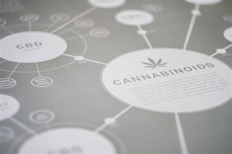Chart Of Cannabinoids Print Cannabinoid Effects Infographic Etsy