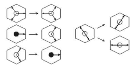 Graphical Representation Of Collision Operators In Fhp I Lattice Gas