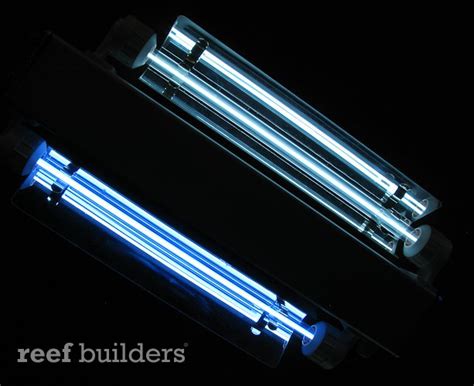 Cold Cathode Lights Vs Led Shelly Lighting