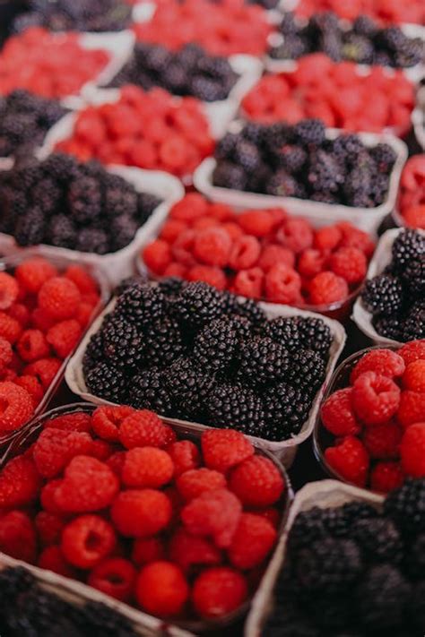 건강한 식생활 검은색 계절 과일 과일 바구니 과즙이 많은 노화 방지제 농산물 시장 농업 농작물 다이어트