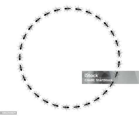 개미 트레일 서클 프레임 흰색 배경에 작업 개미의 라인 곤충 의 그룹은 행진또는 길을 걸어 곤충 식민지 제어 소독 벡터 일러스트 개미에 대한 스톡 벡터 아트 및 기타 이미지