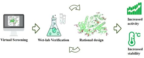 欣贝莱生物 Ai驱动酶设计：欣贝莱重塑医药中间体高效生物合成 知乎