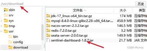 Centos安装sentinel Linux安装sentinel Csdn博客