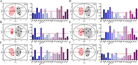 Sex Specific Metabolic Alterations In The Type 1 Diabetic Brain Of Mice Revealed By An
