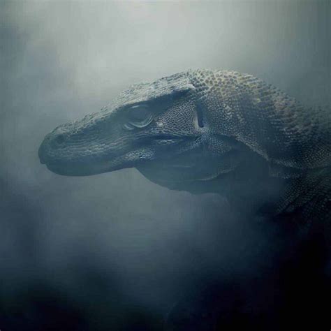 What Is Cryptozoology Everything You Need To Know