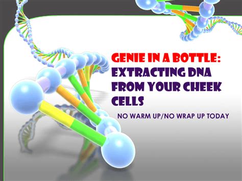 Dna Lab Ppt