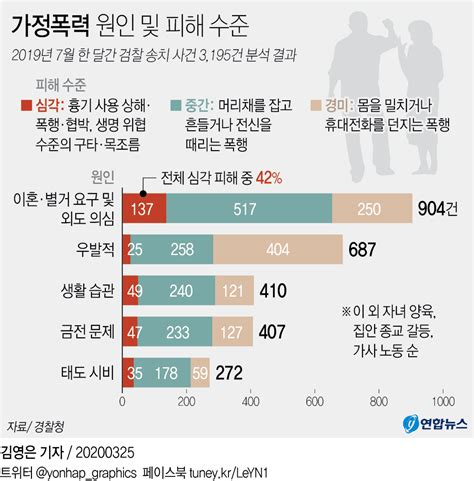 그래픽 가정폭력 원인 및 피해 수준 연합뉴스