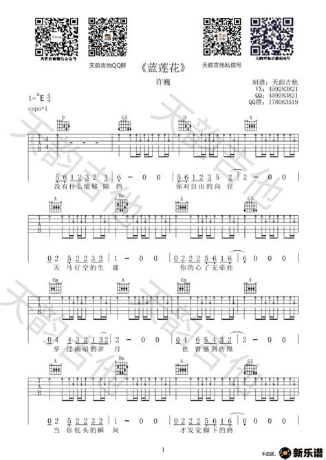 《蓝莲花》最新曲谱 许巍 许巍钢琴谱吉他谱 新乐谱