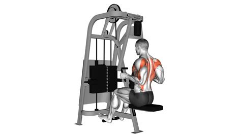 Lever Seated Row V2 Video Guide And Tips