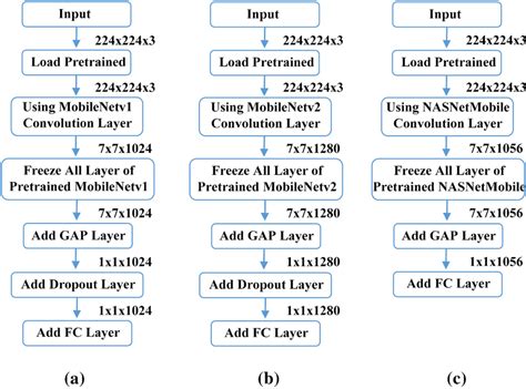 Sematic Representation Of Optimized Convolutional Neural Networks Used Download Scientific