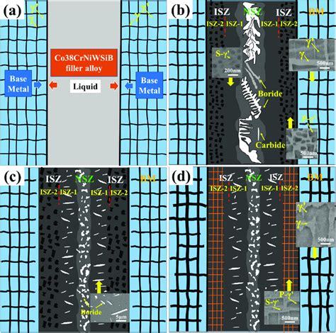 Schematic Diagram Of Brazed Joint Formation And Microstructural Download Scientific Diagram