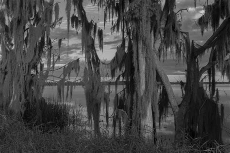 Nabil Harb Mater Si Magistra No Light Work