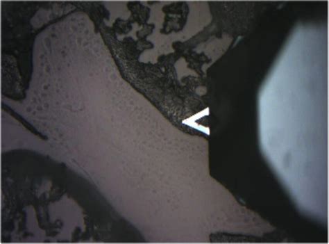 Afm Nanoindentation Test A Triangular Probe Was Used To Detect The Em Download Scientific