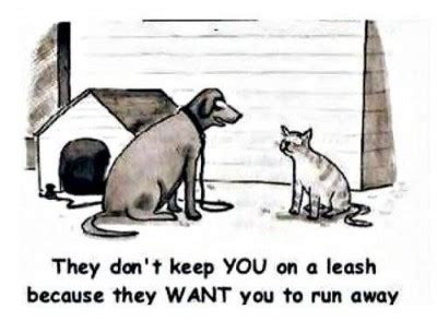 Funny Cartoon Pic Of The Day Best Funny Jokes And Hilarious Pics 4u
