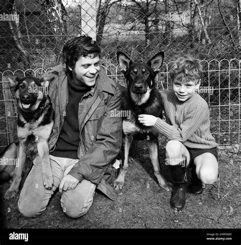 Actor Oliver Reed With His Year Old Son Mark And Their Alsatians Rex Left And Rinty Th