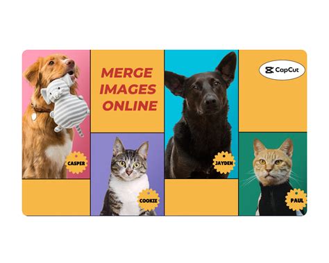 Merge Images Online To Create Appealing Collages Capcut