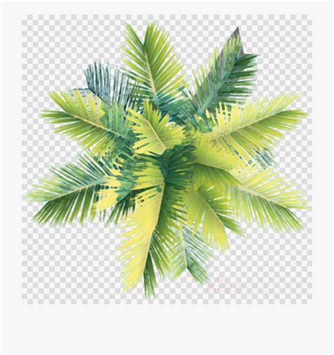 Tree Site Plan Png 10 Free Cliparts Download Images On Clipground 2025