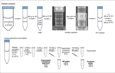 Isolation And Characterization Of Platelet Derived Extracellular Vesicles Exosome Rna