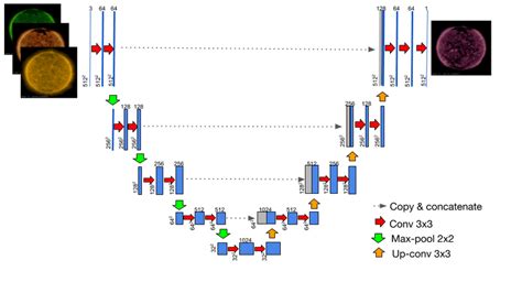 U Net Based Architecture Used To Synthesize Solar Euv Images Each Box