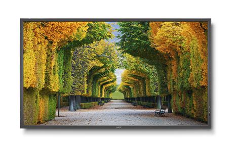 NEC Adds New Size In High Bright Display Display Daily