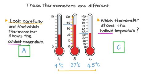 Reading A Thermometer Worksheet E
