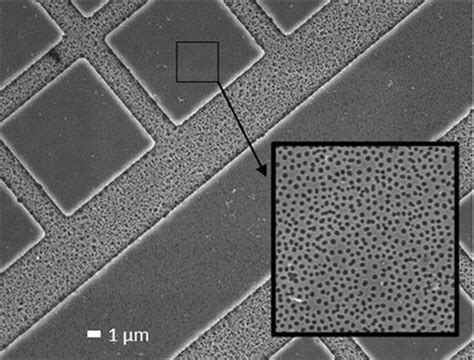 Growth Of Strain Relaxed Ingan On Micrometer Sized Patterned Compliant Gan Pseudo Substrates