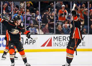 Los Angeles Anaheim Ducks Ice Hockey Game Ticket 2026 And 2027 Ocean