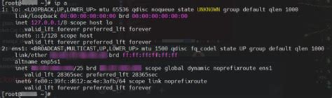 Set Static Ip With Dhcp Guide Documentation And Faq