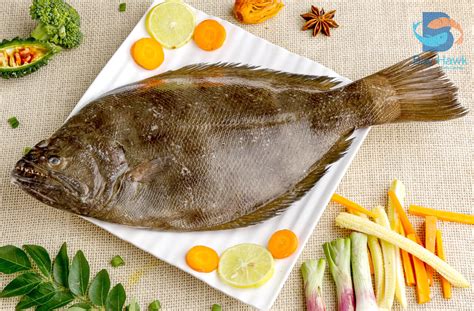 Sea Bass கொடுவா Bayhawk