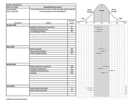 Standardized Assessment Chart For Excel Etsy