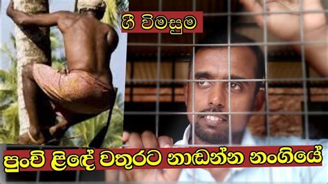ගෙඩි සියයක් බිම හෙළුවත් අප්පච්චිට එක ගෙඩියයි මේ ඔයාගෙ තාත්තගෙ ජීවිත කතාව විය හැක ගී විමසුම